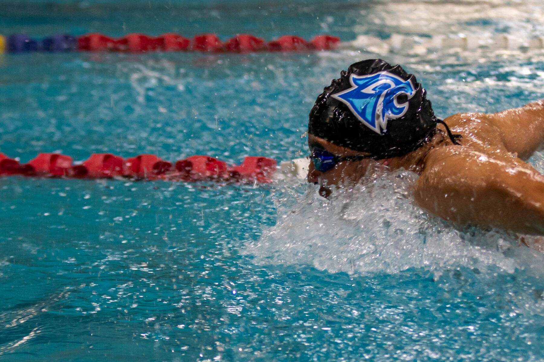 HS Swimmers Looking Good at Pre-Regional Invitational - Grace Community ...
